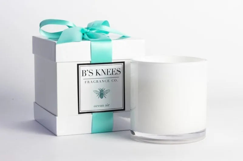 Ocean Air 3-Wick Candle – Cole and Co.