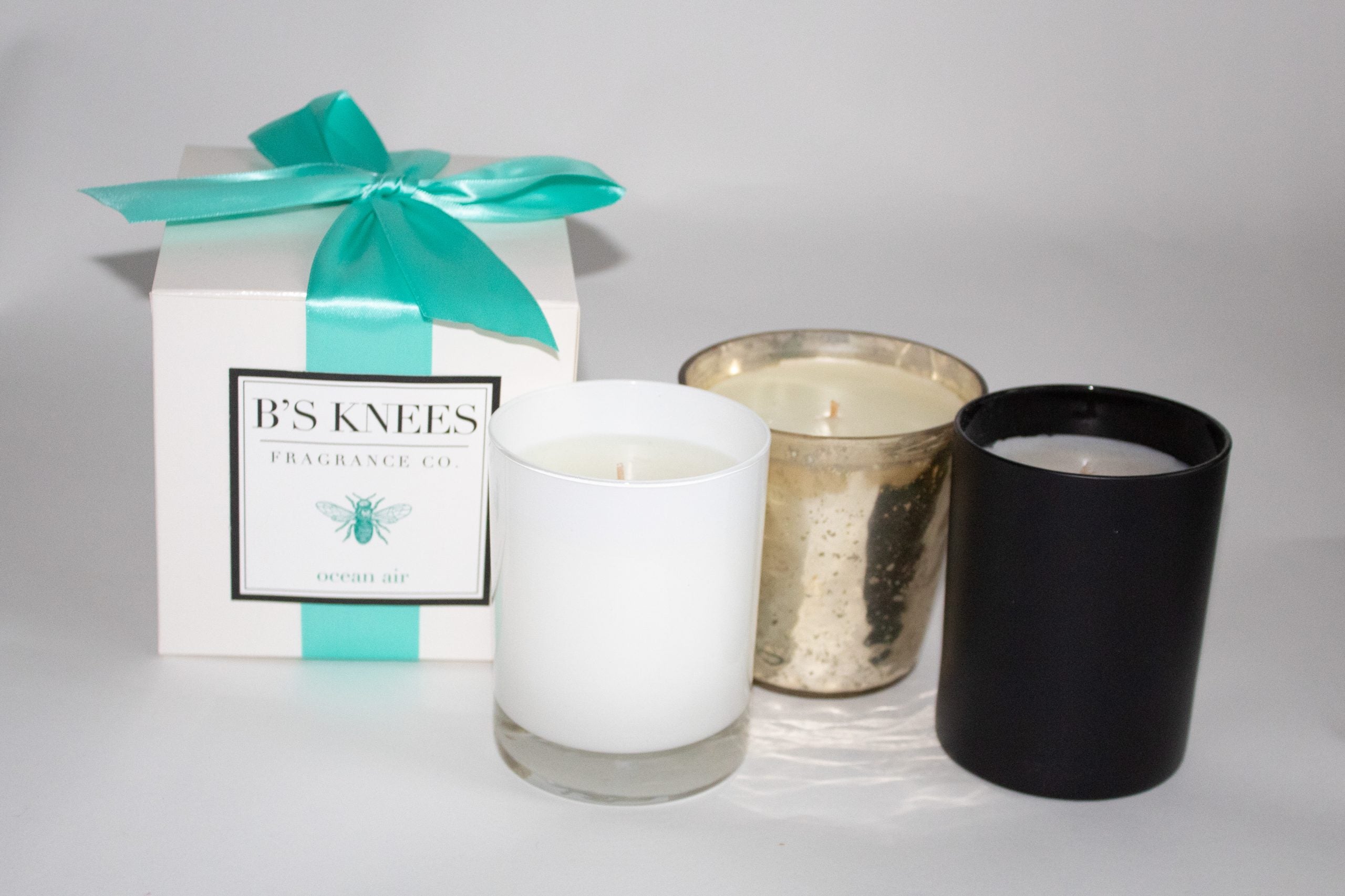 Ocean Air 1-Wick Candle – Cole and Co.
