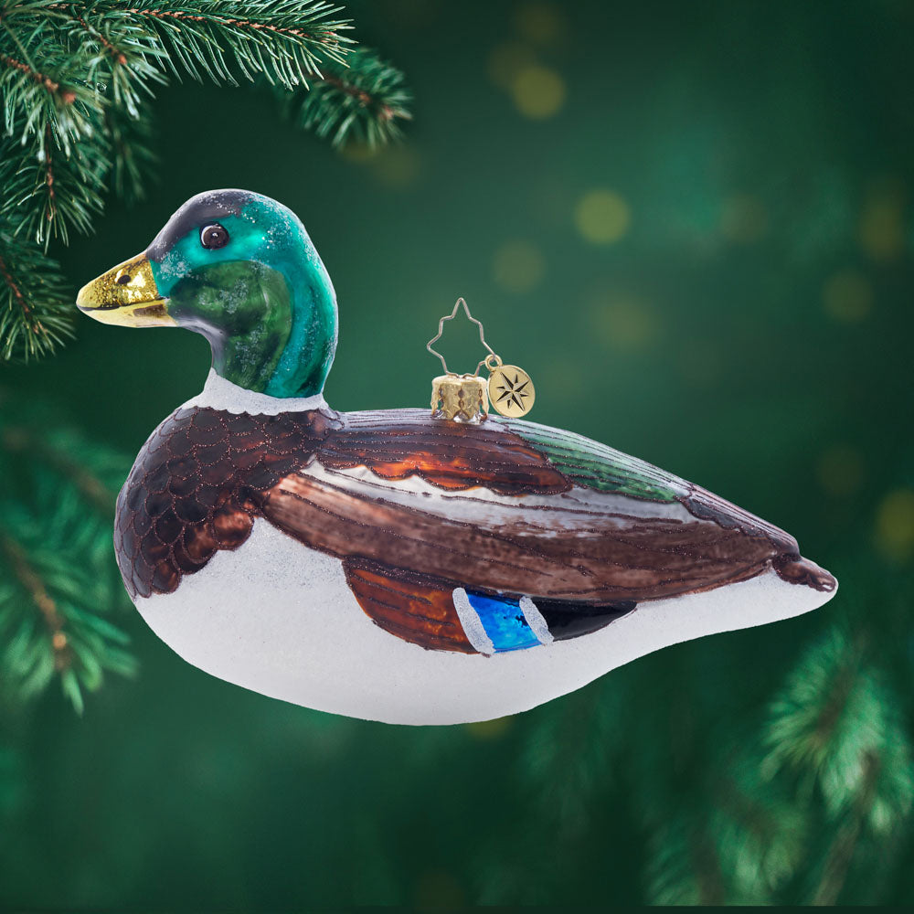 Majestic Mallard – Cole and Co.