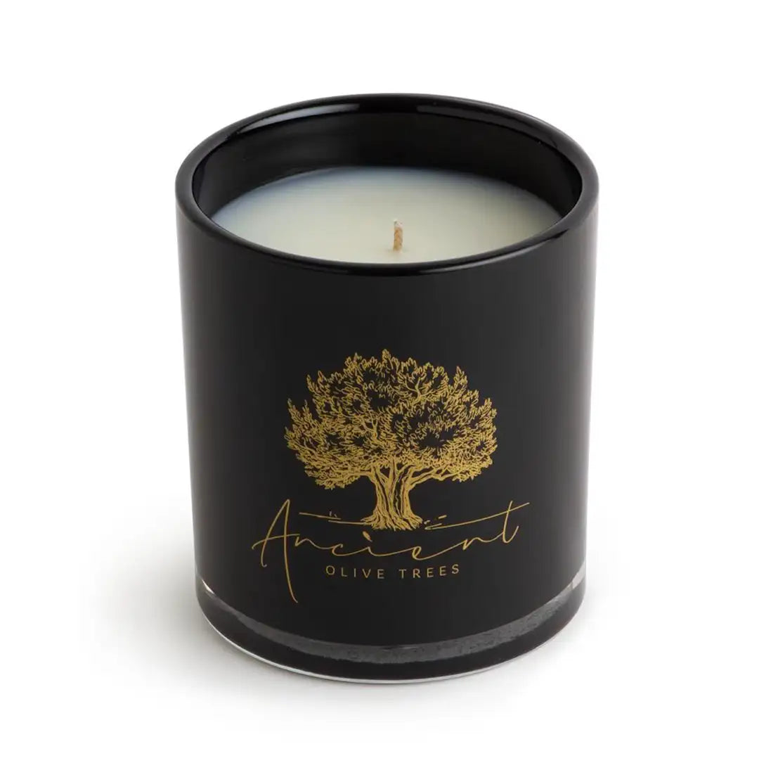 Silk Road 13.5oz Candle – Cole and Co.