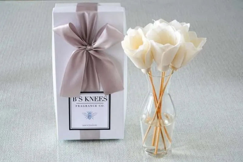 Ascension Natural Reed Diffuser – Cole and Co.