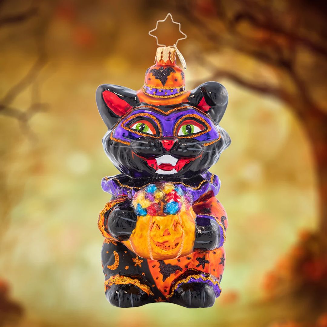 Dapper Black Cat – Cole and Co.